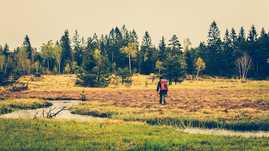 Wilderness Survival Training from the CIA Archives - CIA