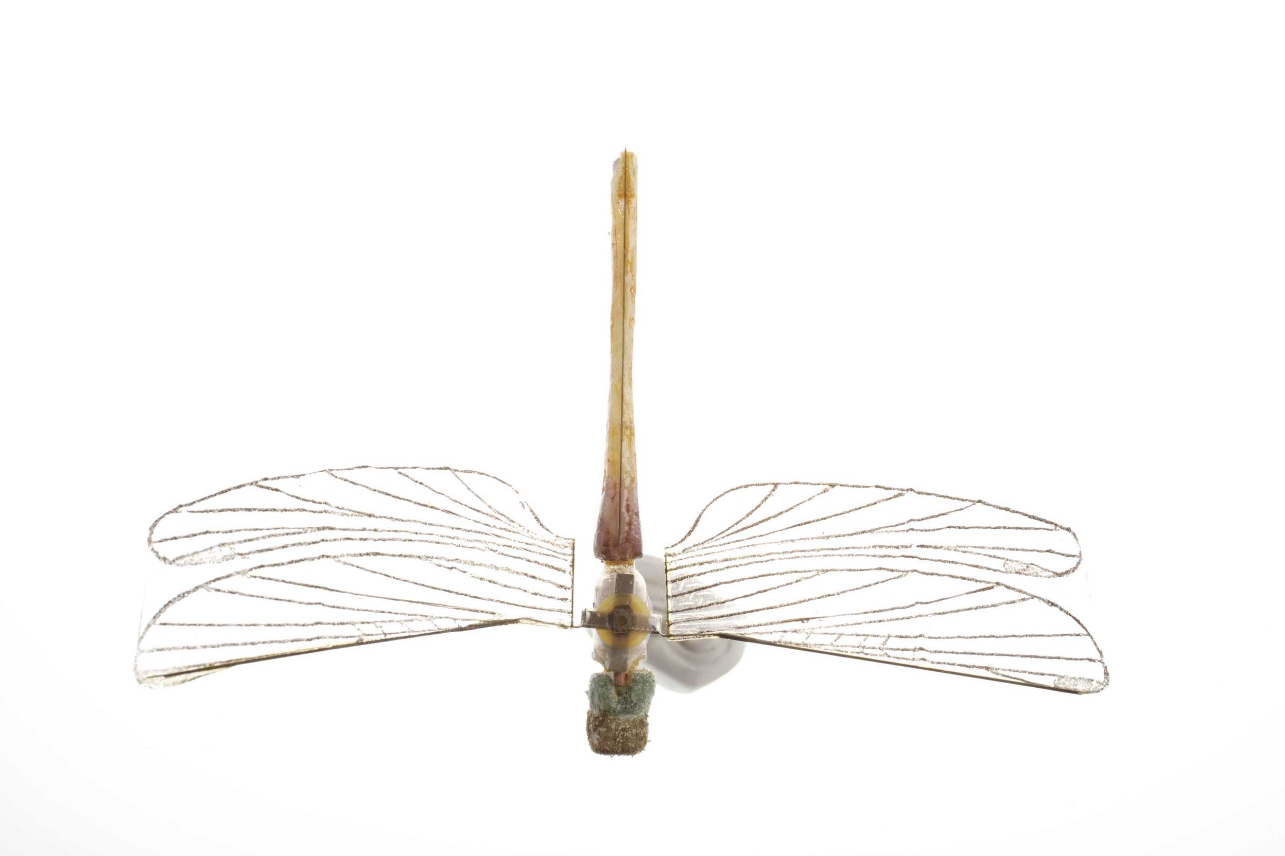 Insectothopter - CIA